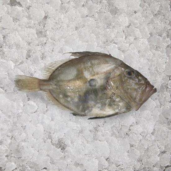 Fresh Fish from the UK: Our Top 5 Picks - The Artisan Food Company