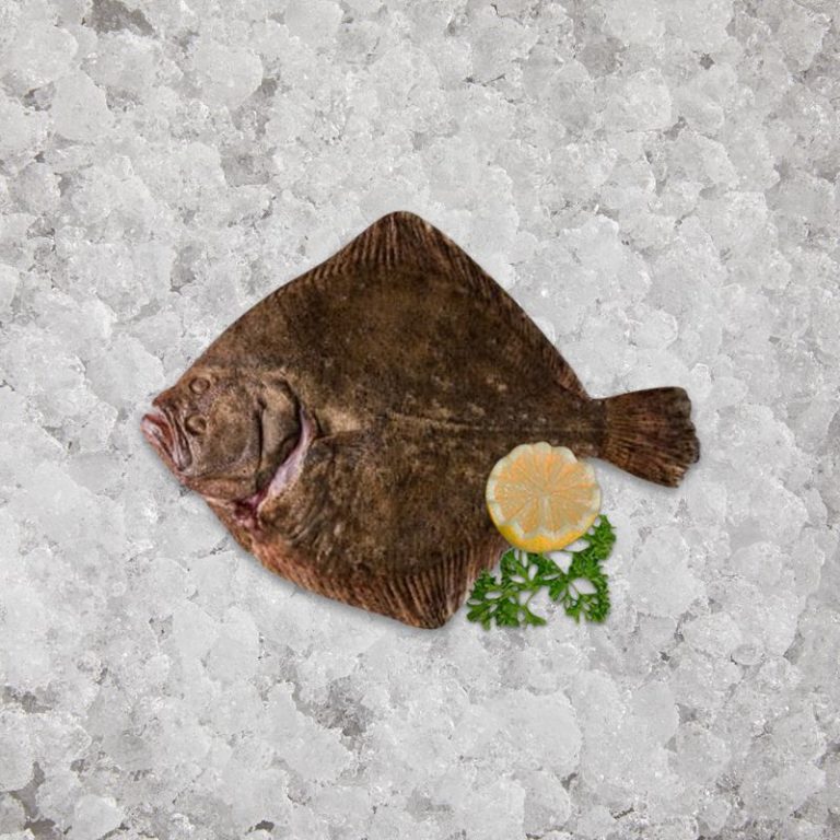 Fresh Fish from the UK: Our Top 5 Picks - The Artisan Food Company