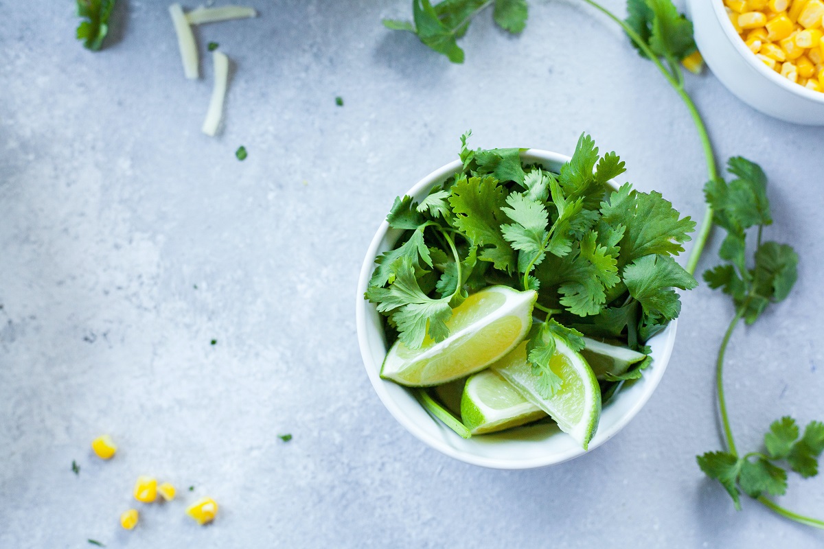 4 Great Ways to Use Fresh Coriander - The Artisan Food Company