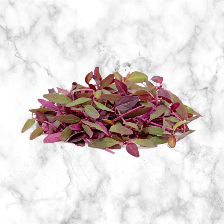 Micro Herbs | The Artisan Food Company