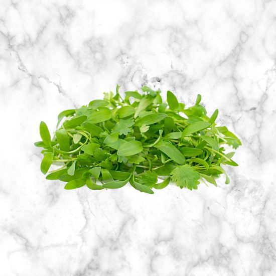 Micro Coriander, 25g - Buy Now- The Artisan Food Company