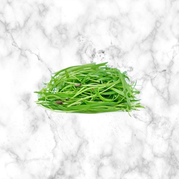 Micro Fennel Salad - Buy Now - The Artisan Food Company